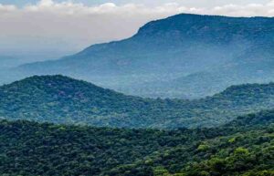 Top 17 Best Places To Visit In Yercaud